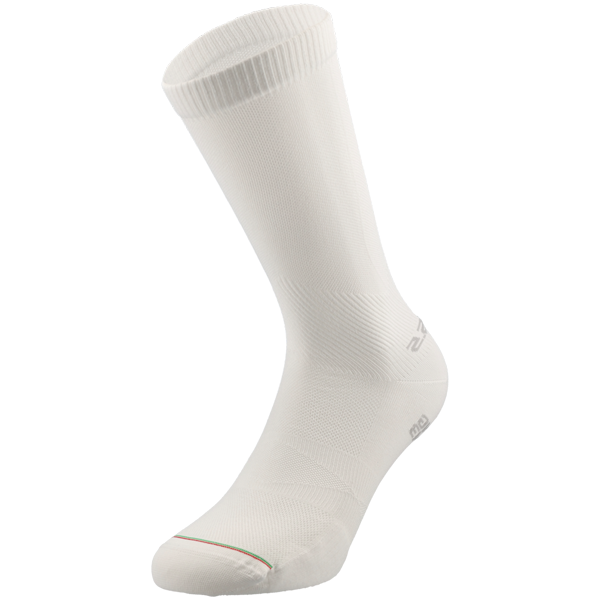 Q36.5 Ultra Long Socks (2 Pairs) in White – DSTNC
